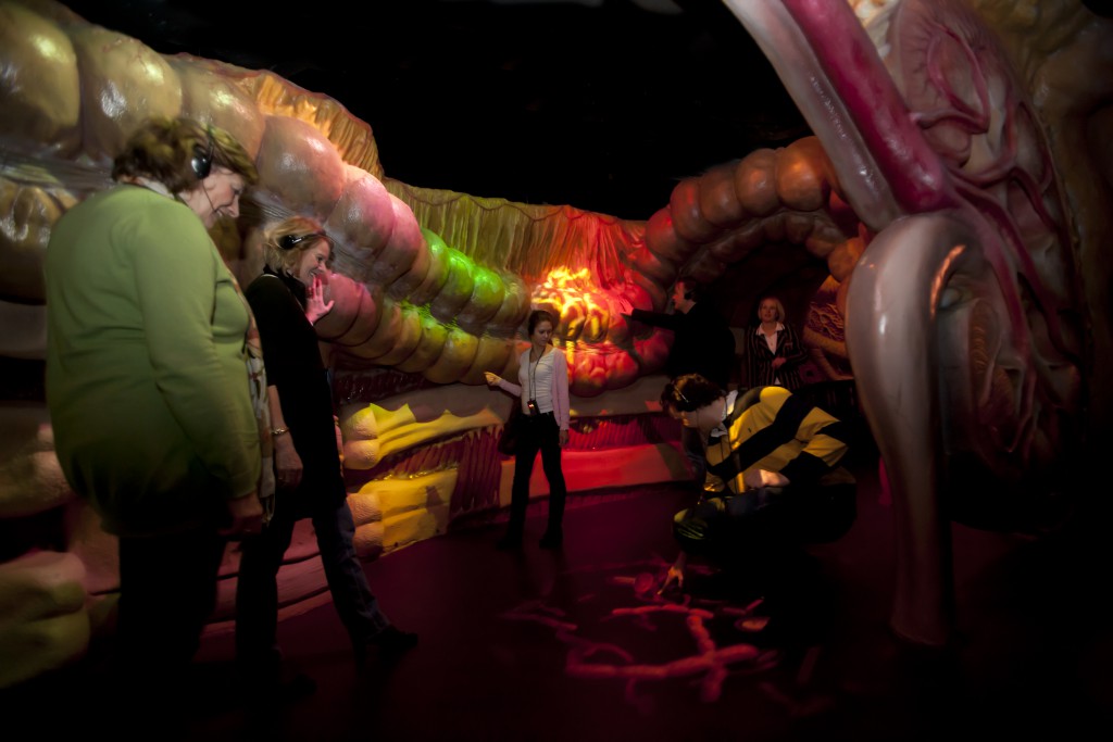 Guide to Leiden's Museums. What to do in Leiden on a rainy day?